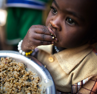 Zero Hunger Why it Matters | #planthro BIBLIO | Platform anthropocene Inc.