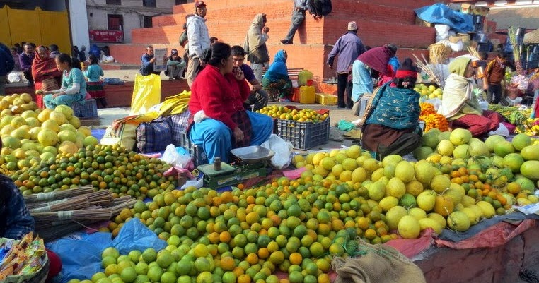 Glossary of Common Fruits of Nepal (English-Nepali) - Part I