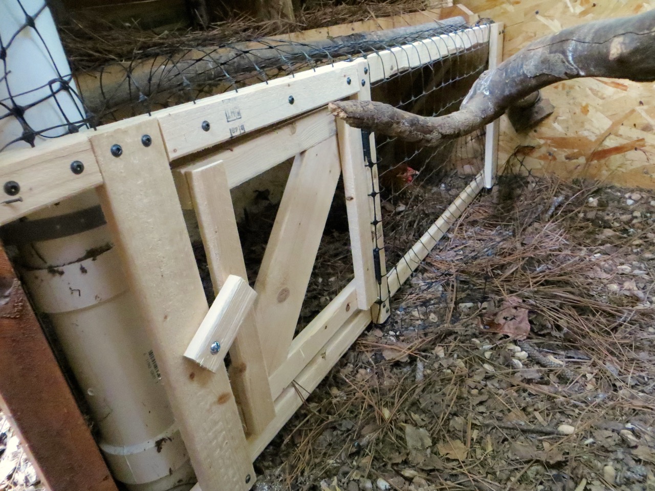 The Project Lady Diy Easy And Inexpensive Chicken Brooder For Broody Hen