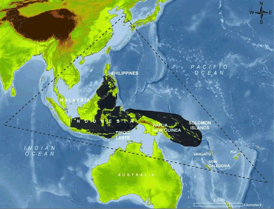 The Coral Reefs of Southeast Asia: The Coral Triangle