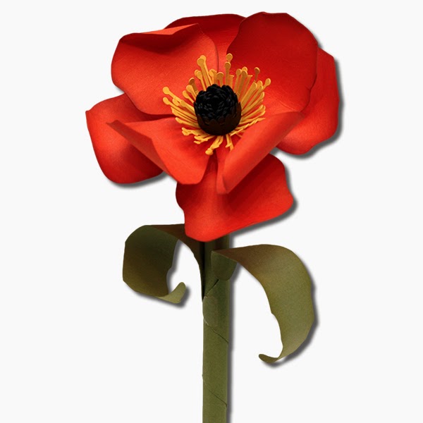3D Poppy and Iris Paper Flowers and a Grass Vase! | Bits of Paper