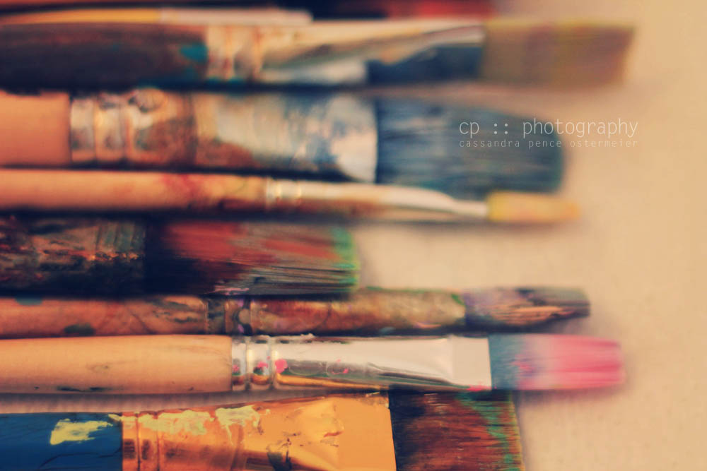 sassafras: color love :: photography