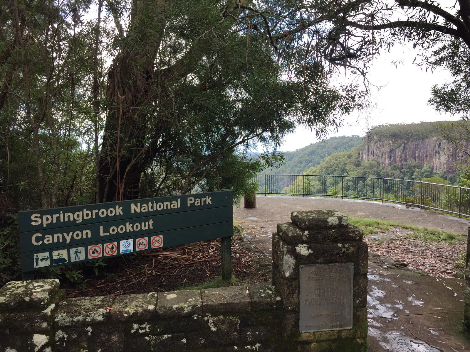 Observe the world: Springbrook National Park, Natural Bridge, Canyon ...