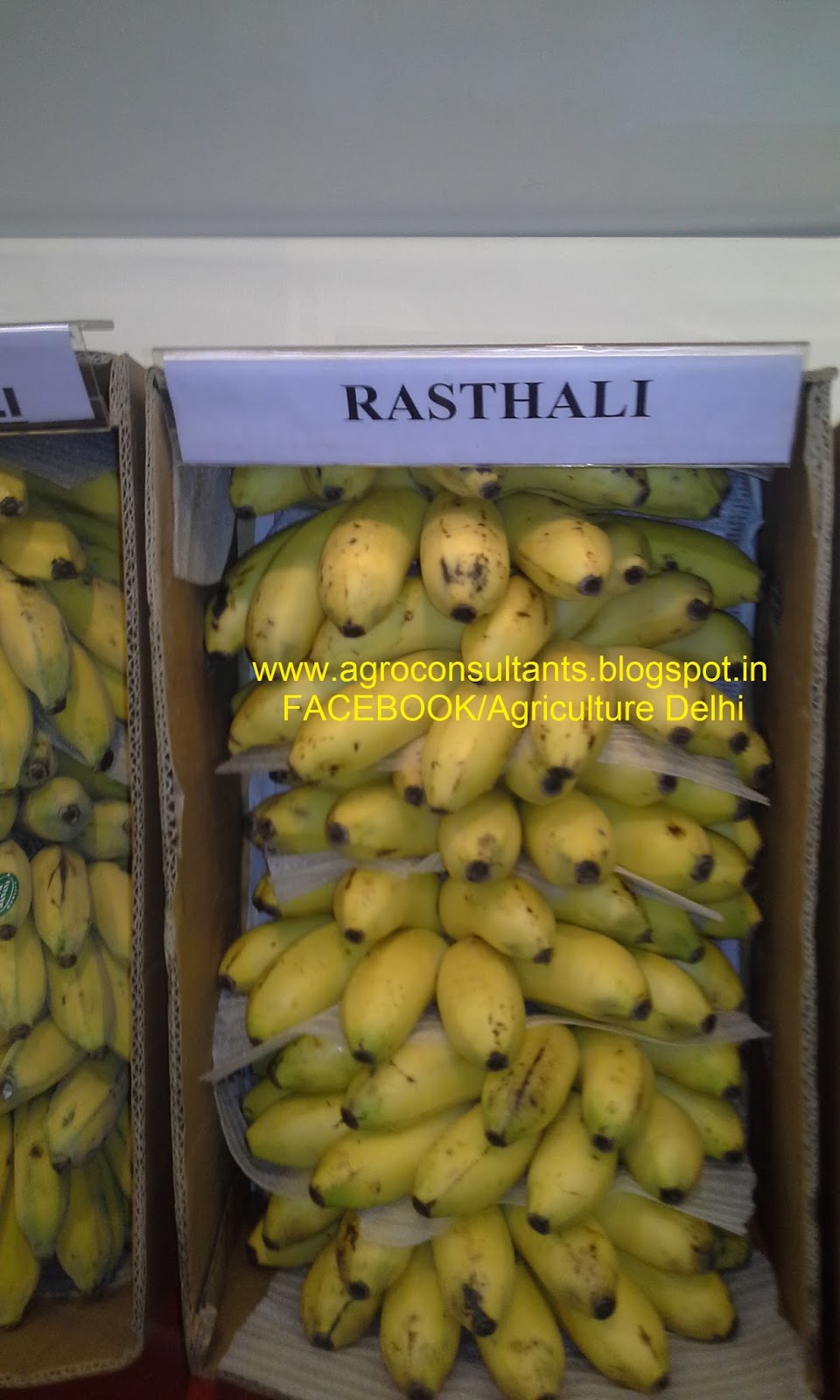 Somesh Jha: Banana केला Kela