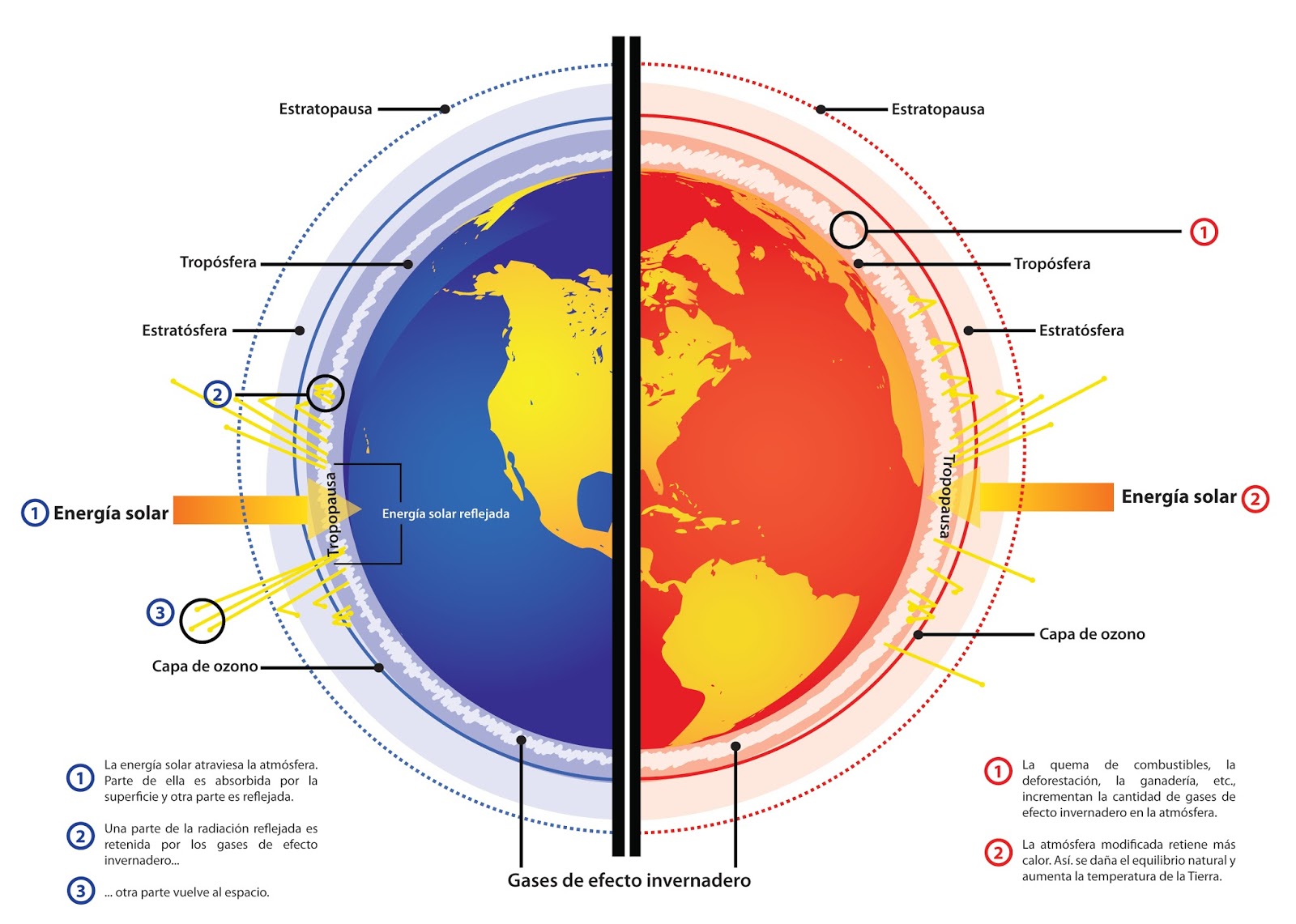 Wonkas: Adelgazamiento de la ozonosfera