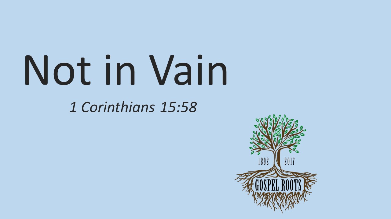 [Matt's Messages] "Not in Vain" ~ Matt Mitchell - Hot Orthodoxy