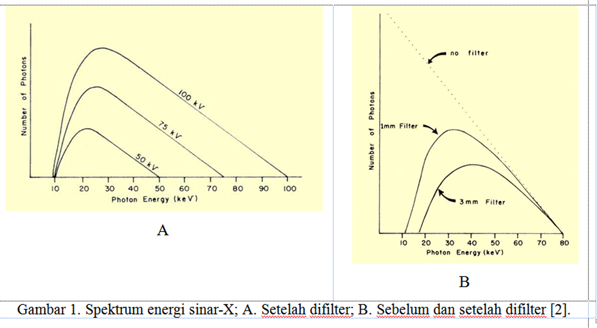 Penentuan Kualitas Berkas Radiasi Pesawat Sinar-X - Binaya Logic Consulting