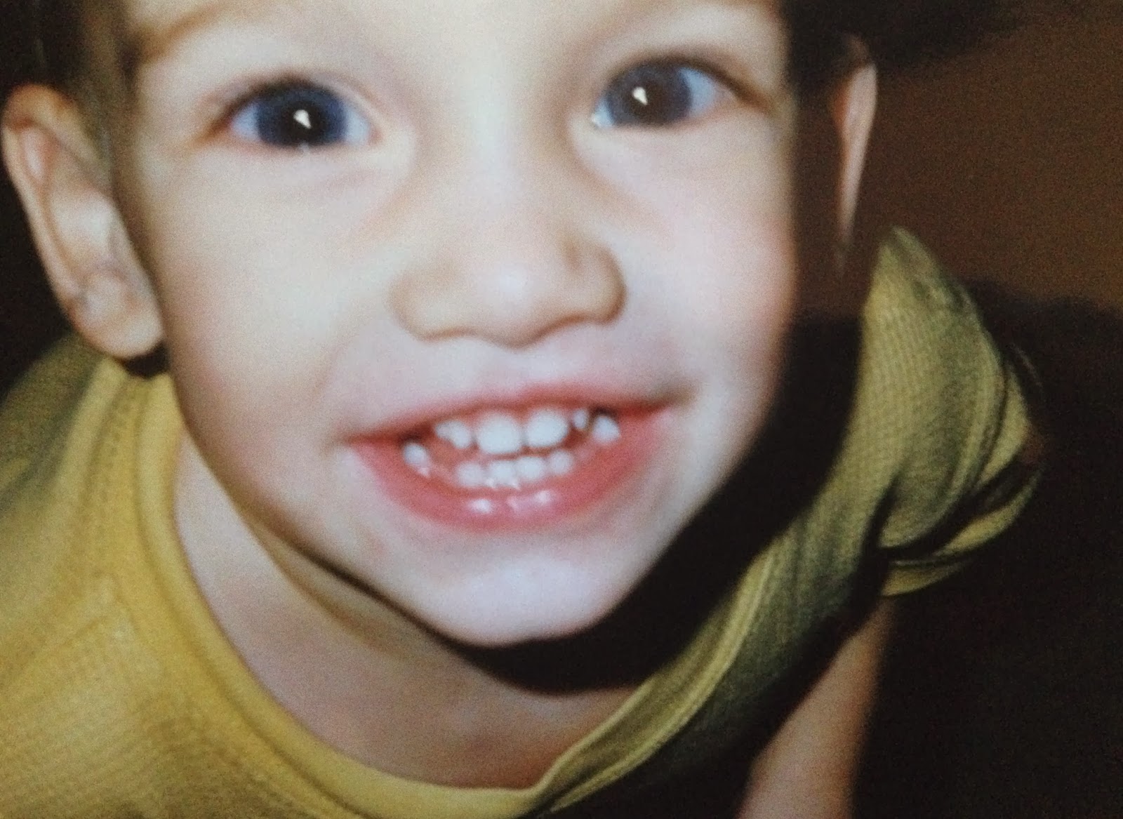 Cranberry Corner: The Makings of a Dylan Boy