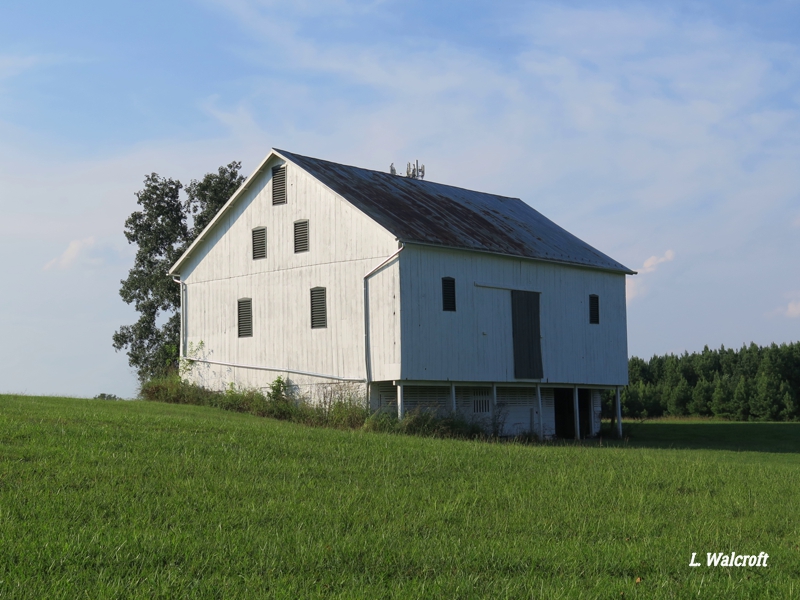 The View from Squirrel Ridge: Today in White Post, Virginia