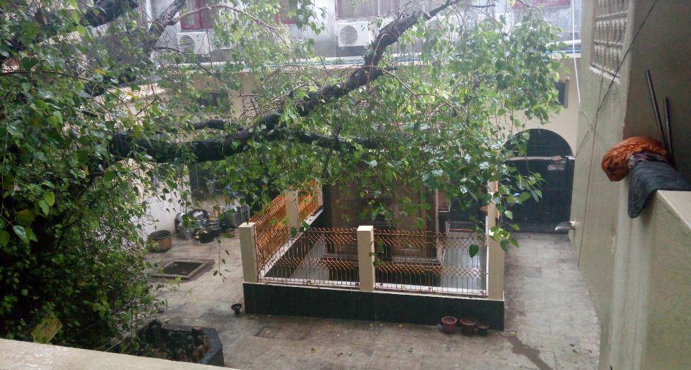 Tamilnadu Tourism: Uttaradi Mutt, Triplicane, Chennai