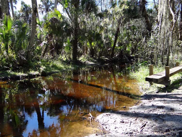 Reflections From the Fence: Crowley Natural & Cultural History Center ...