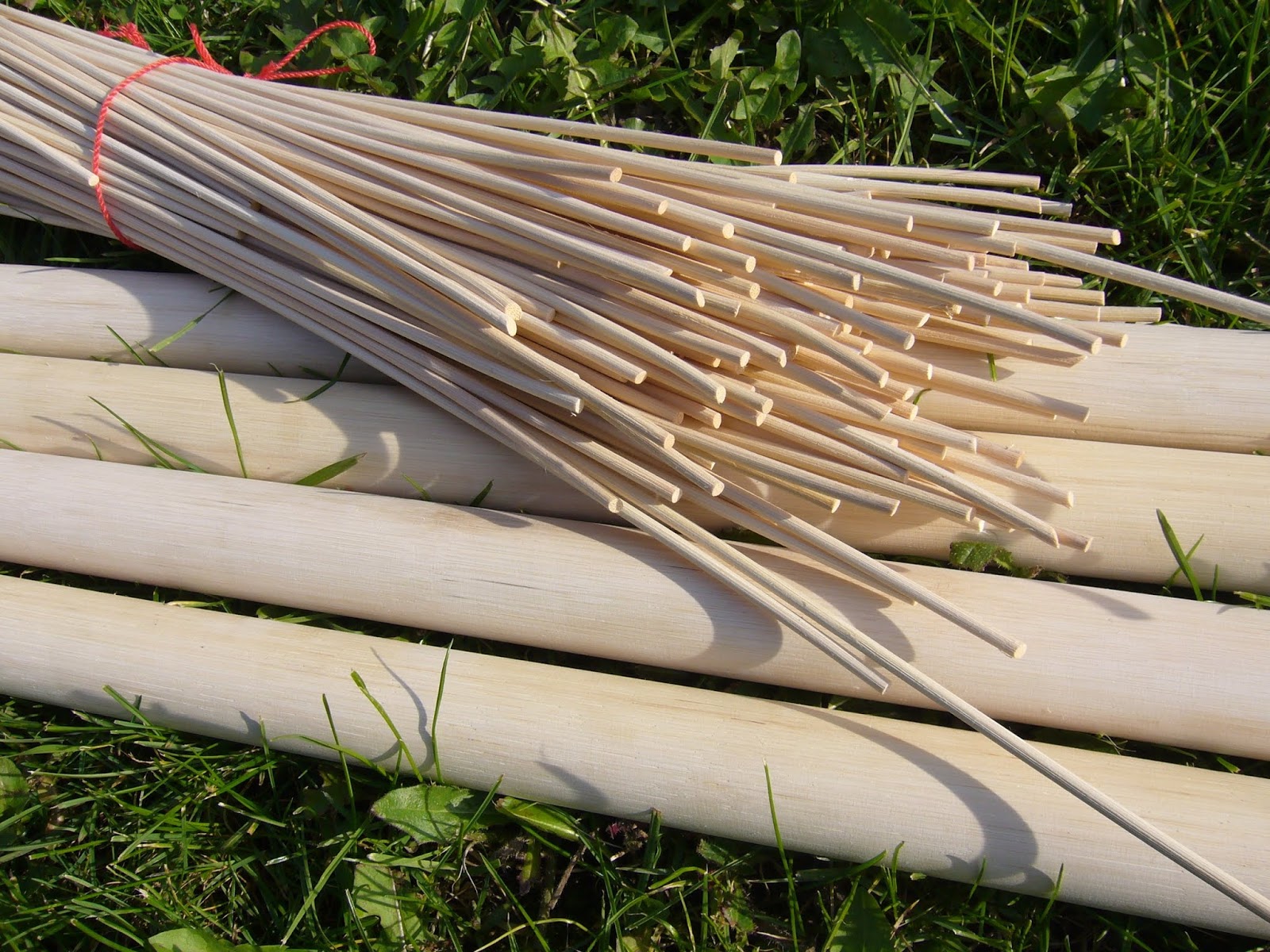 Bâton de rotin, fil de rotin: 2018