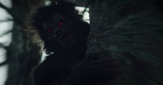 Phantoms and Monsters - Real Cryptid Encounter Reports - Fortean ...