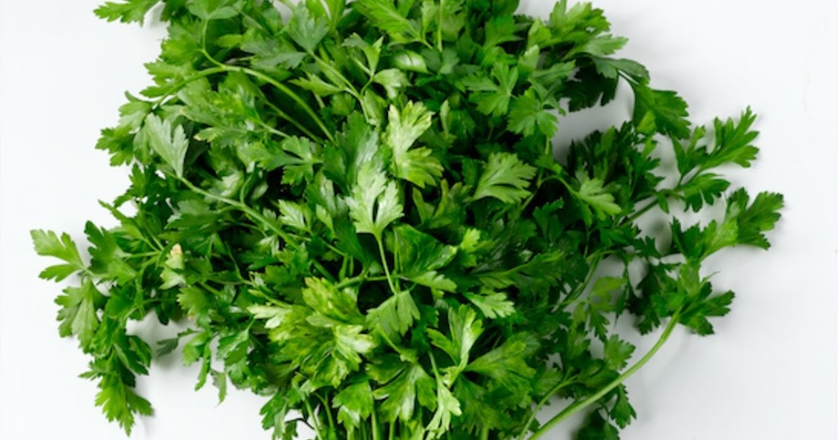 Perejil | Uso y Origen - Gastro
