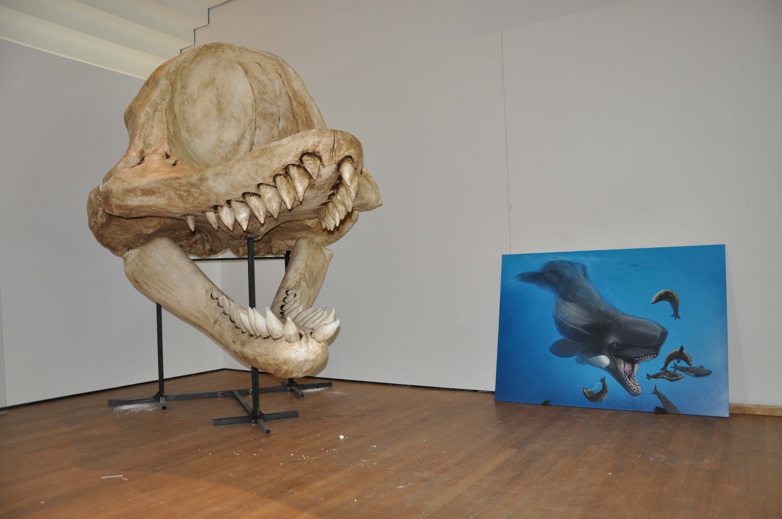 Species New to Science: [Exhibition 2012] Livyatan: ‘The biggest mouth ...