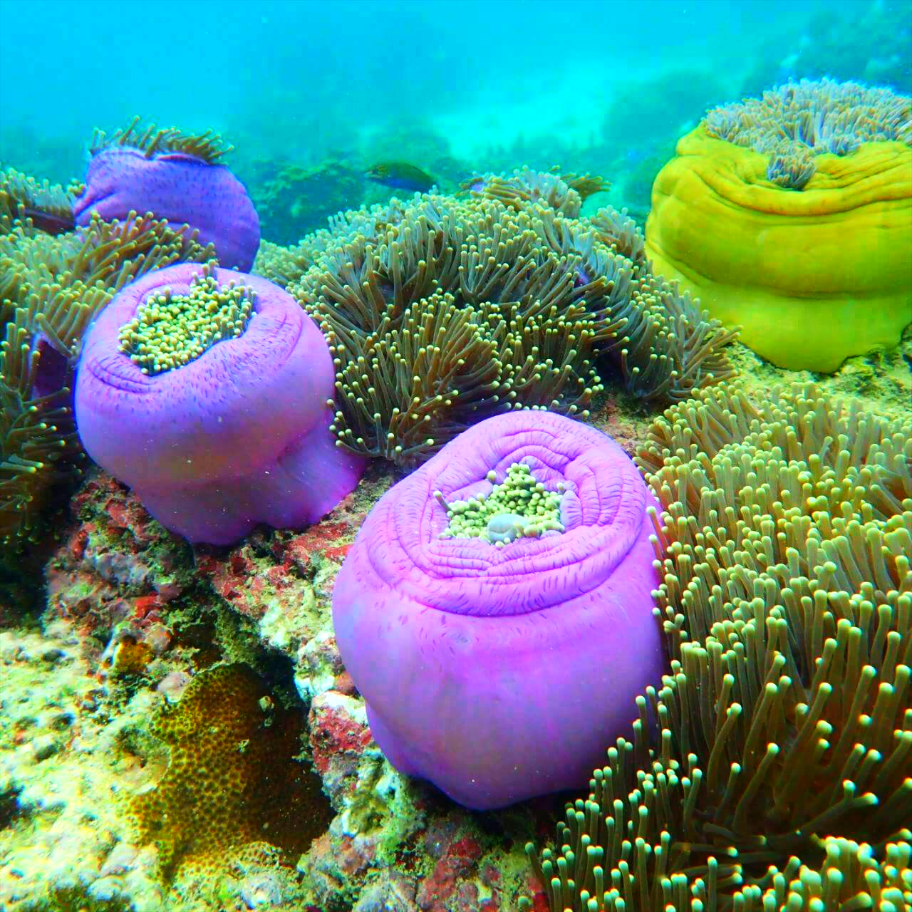 Top-Secret Building Team.