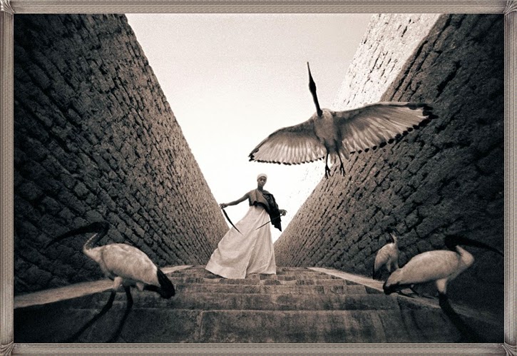 Ostáriz Art Gallery: Gregory Colbert