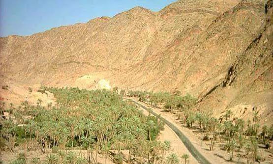 Khentiamentiu: Feiran Oasis in pics: The holy pearl of Sinai - Egypt Today