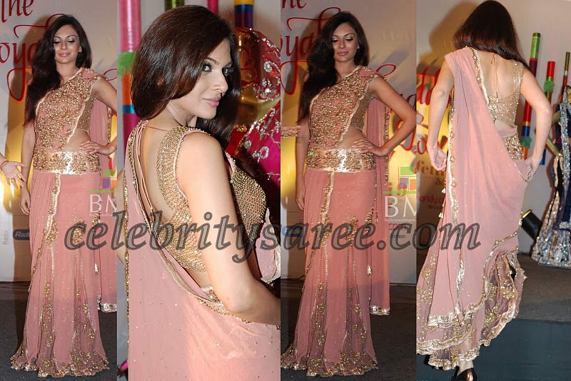 Mrinalini Sharma in Designer Sari with Back Neck Blouse - Saree Blouse ...