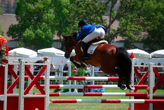 Olympic Equestrian - Jumping: Equestrian Jumping - Types of Competition ...