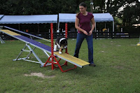 Tips, Tricks, and Training: Using The Tip Assist To Improve Teeter ...