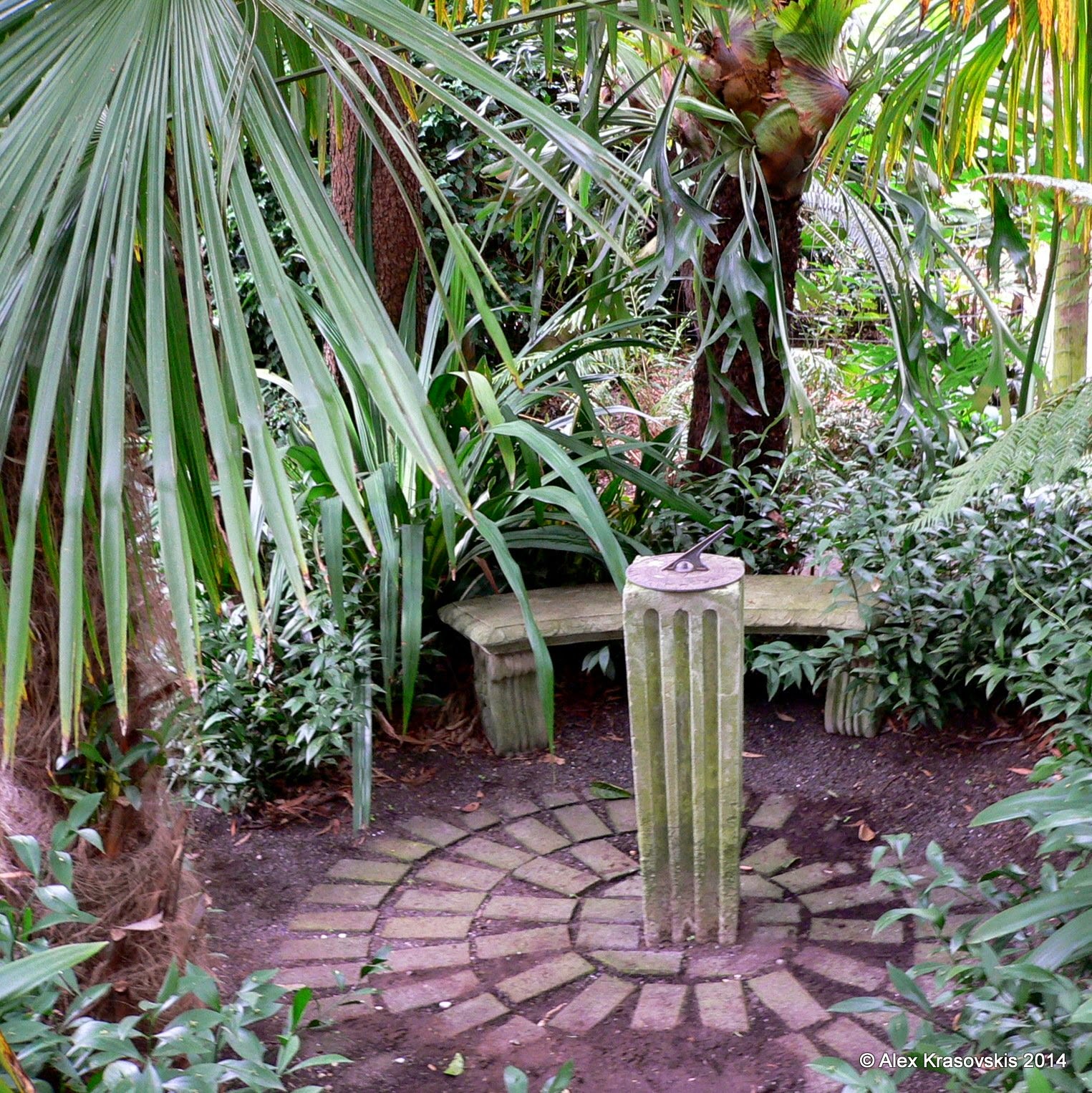 Aggregata Plants & Gardens: Visit to Stephen Ryan's amazing garden ...