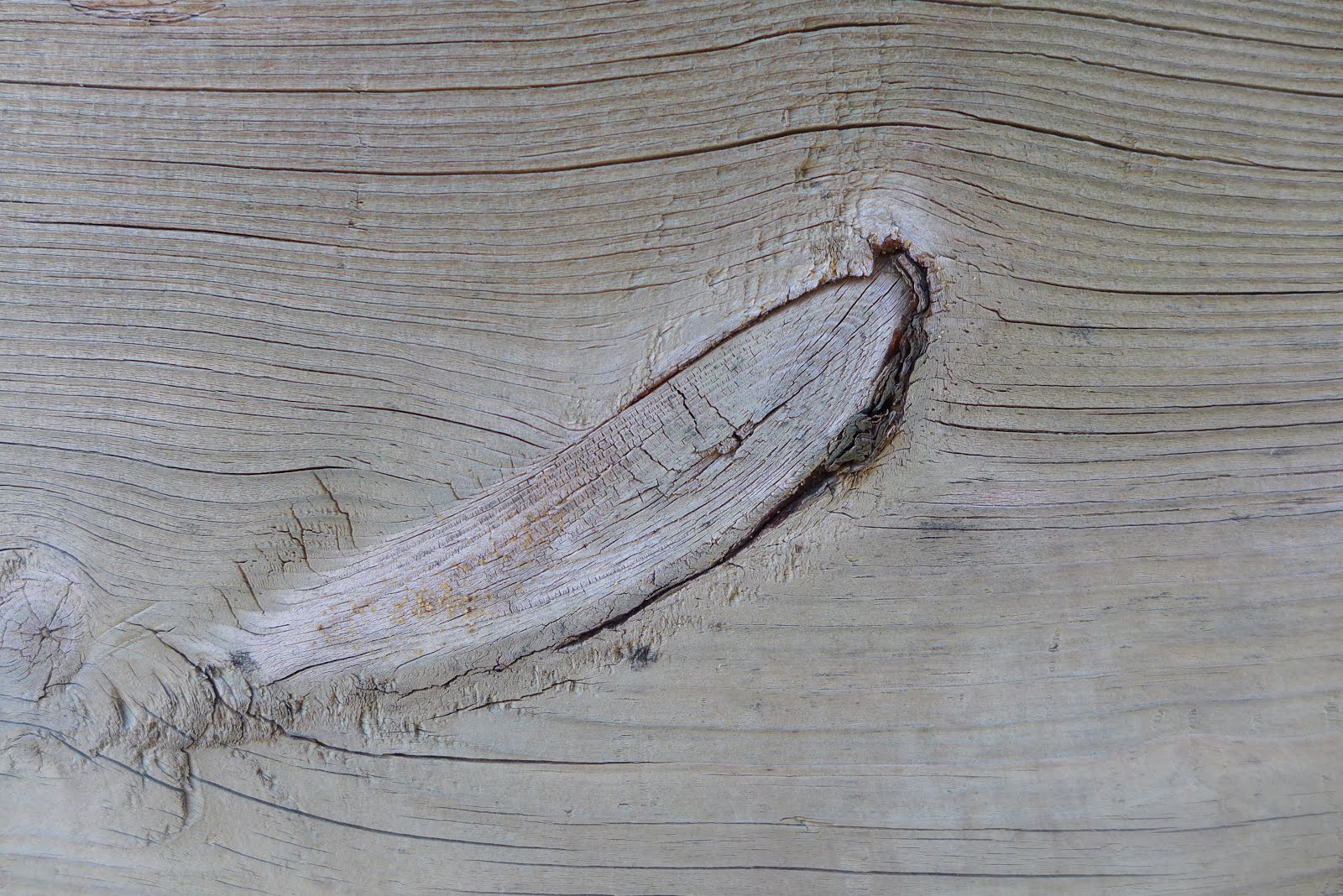 Madera con betas | Todas las texturas