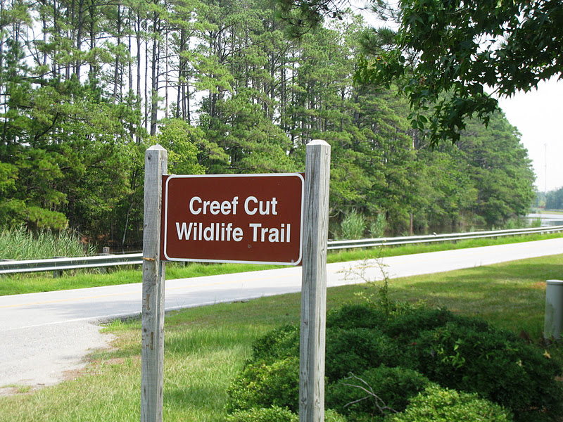 North Carolina Hikes: Alligator River National Wildlife Refuge ...