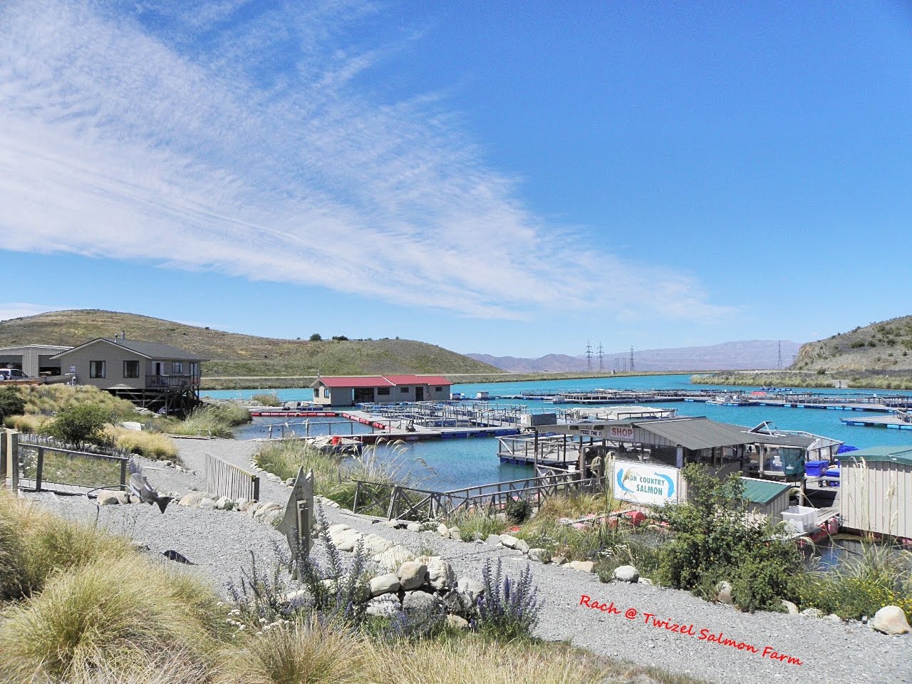 Its my place: New Zealand: Mt. Cook & Twizel - The Mountain & Salmon Farm