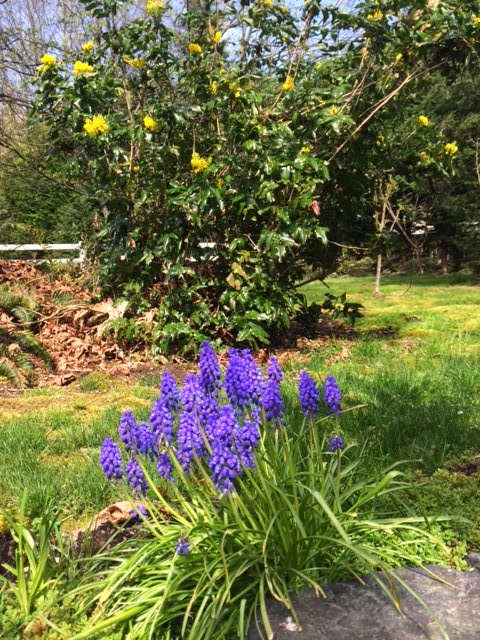 Little Farmstead: Christmas in Spring (with a little Labor Day thrown in)!