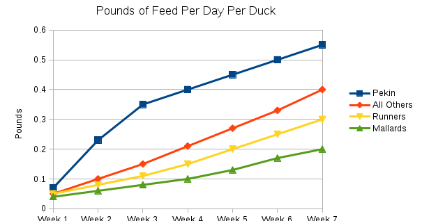 Metzer Farms Duck and Goose Blog: How Much Will My Ducks Eat?