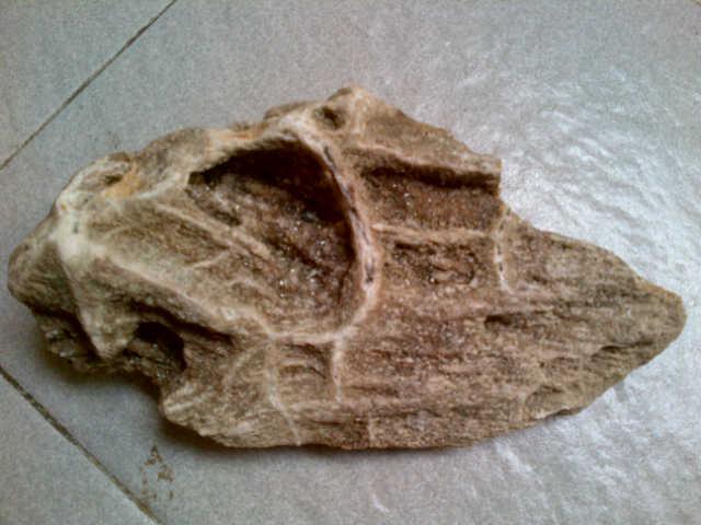 Museum Fosil Kayu Indonesia: GURATAN, WARNA, DAN BERAGAM BENTUK FOSIL KAYU