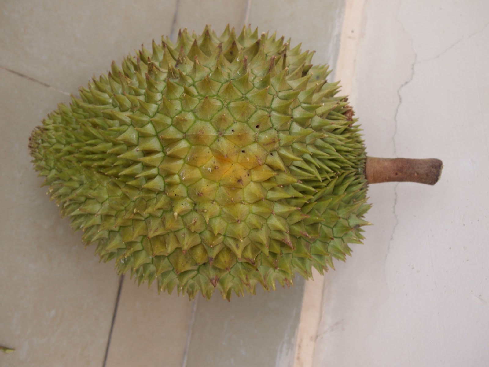 Vietnam Durian Varieties