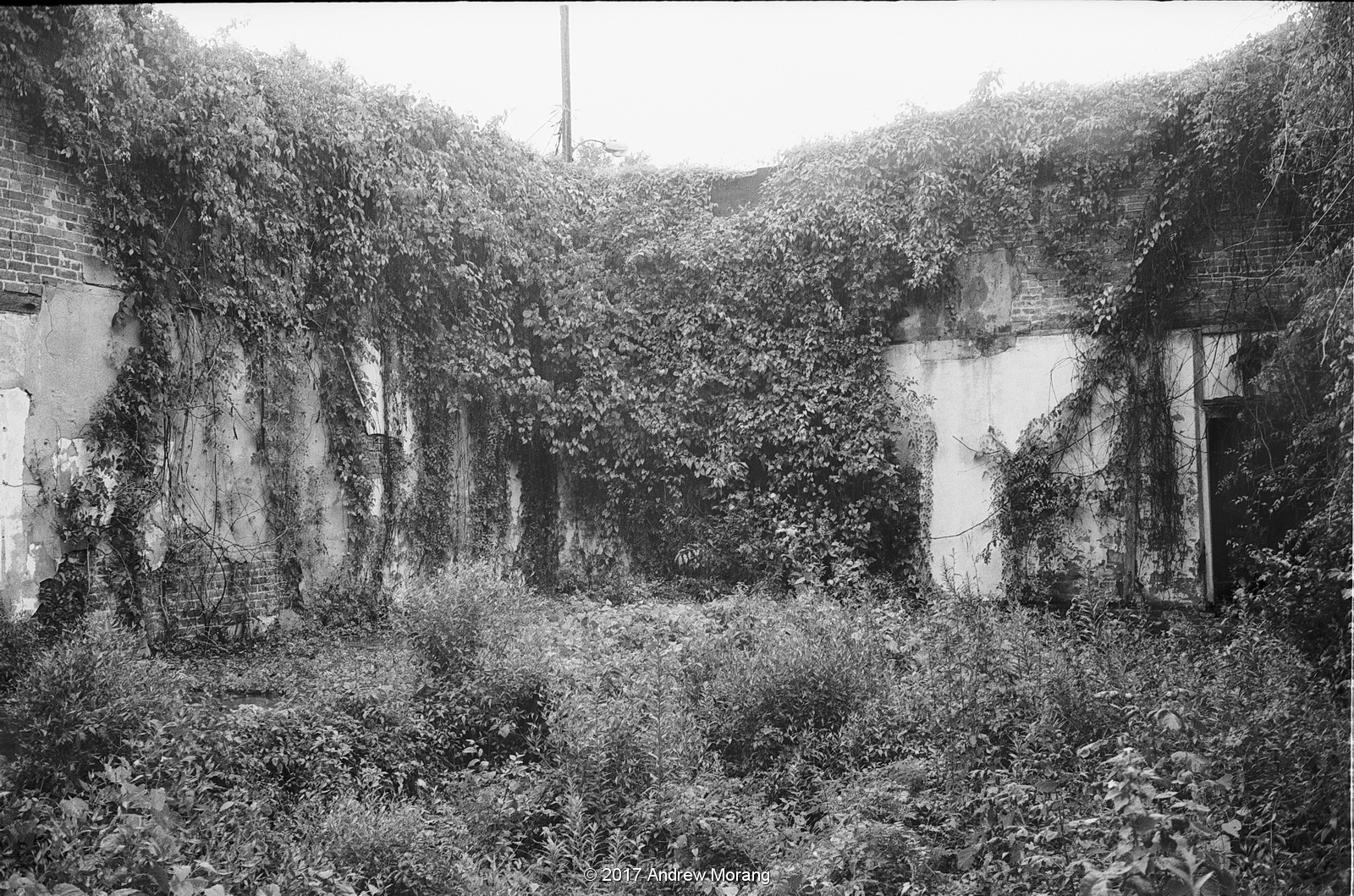 Urban Decay: Small Towns in Mississippi: Return to Edwards (B&W film)