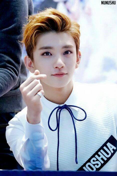 sabrina hwang: Joshua svt