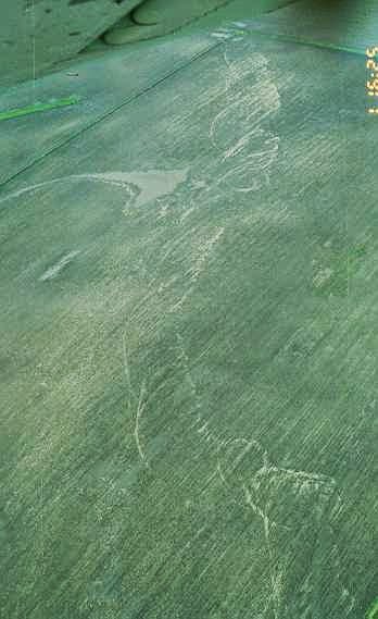 'Our National Calamity': The Great Easter 1913 Flood: Terror in Terre Haute