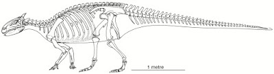 Species New to Science: [Paleontology • 2020] Scelidosaurus harrisonii ...
