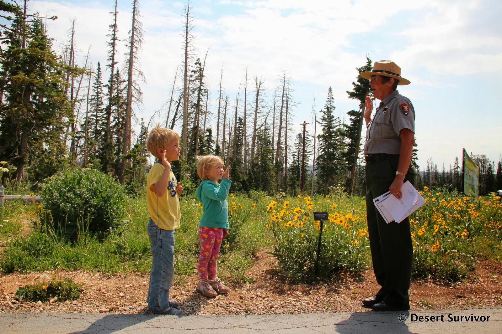 Desert Survivor: Thank You, Park Ranger