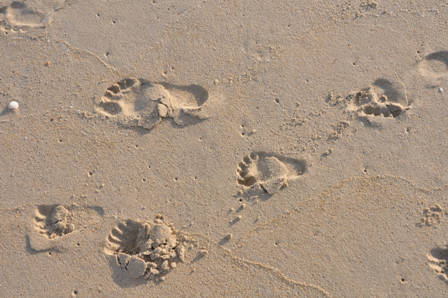 ZieLa: Kabus Di Perbukitan-SINOPSIS [bab demi bab]