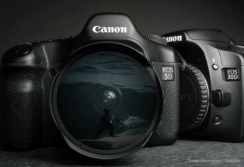 CAMERA photografer gif | kumpulan photo bergerak - dolapdolop ...