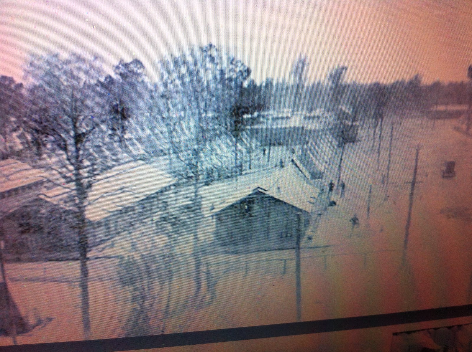 THE BLACK SOCIAL HISTORY:: BLACK SOCIAL HISTORY : THE HOUSTON RIOT OF ...