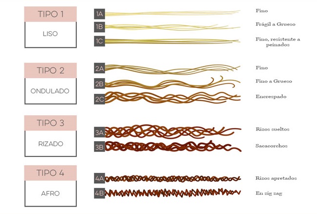 Por amor a los Rizos: Tipos de rizos