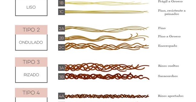 Por amor a los Rizos: Tipos de rizos