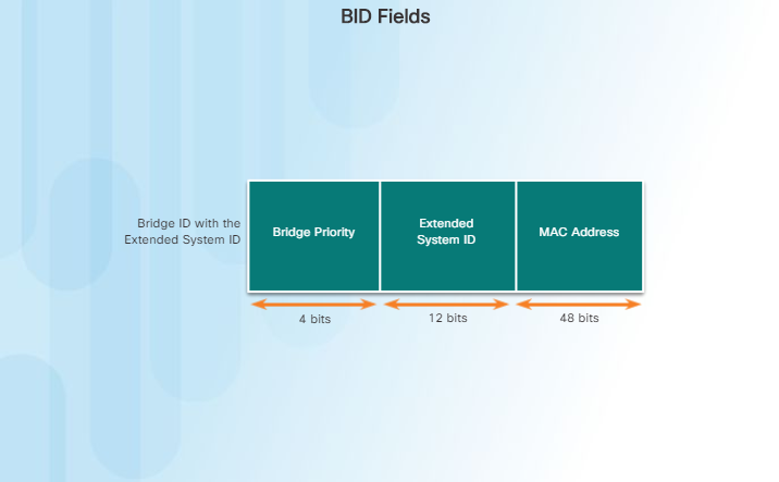 Scaling Networks [ CH3 ] - cisco academy
