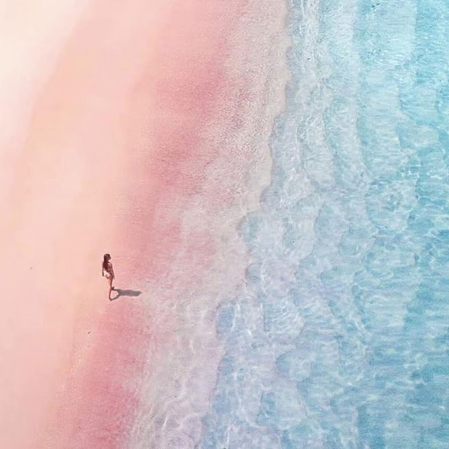 KOMODO ISLAND PINK BEACH TOUR