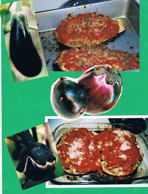granpalovestocook: STUFFED EGGPLANT/MELANZANA ALLA PARMIGIANA