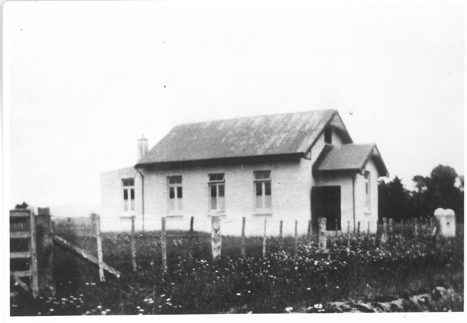 The Semadeni Family of Te Atatū Peninsula
