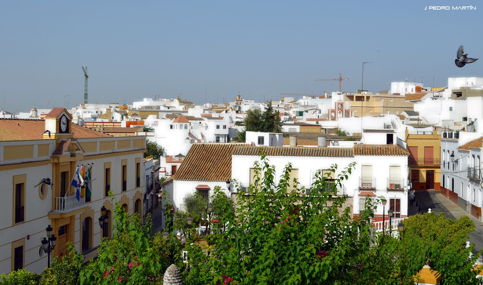 EL VISO DEL ALCOR - J PEDRO MARTÍN