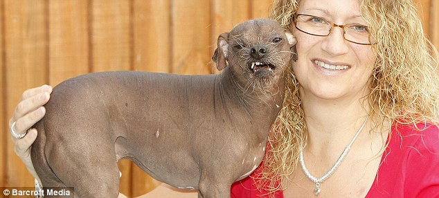 The animal zone: Mugly the ugliest dog gets dressed up... to protect ...