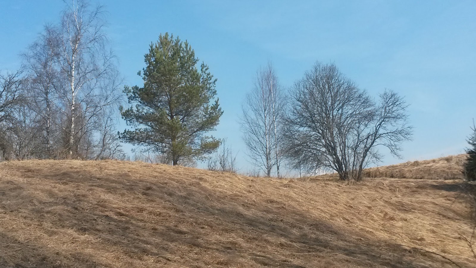 Ilo elää: Huhtikuu